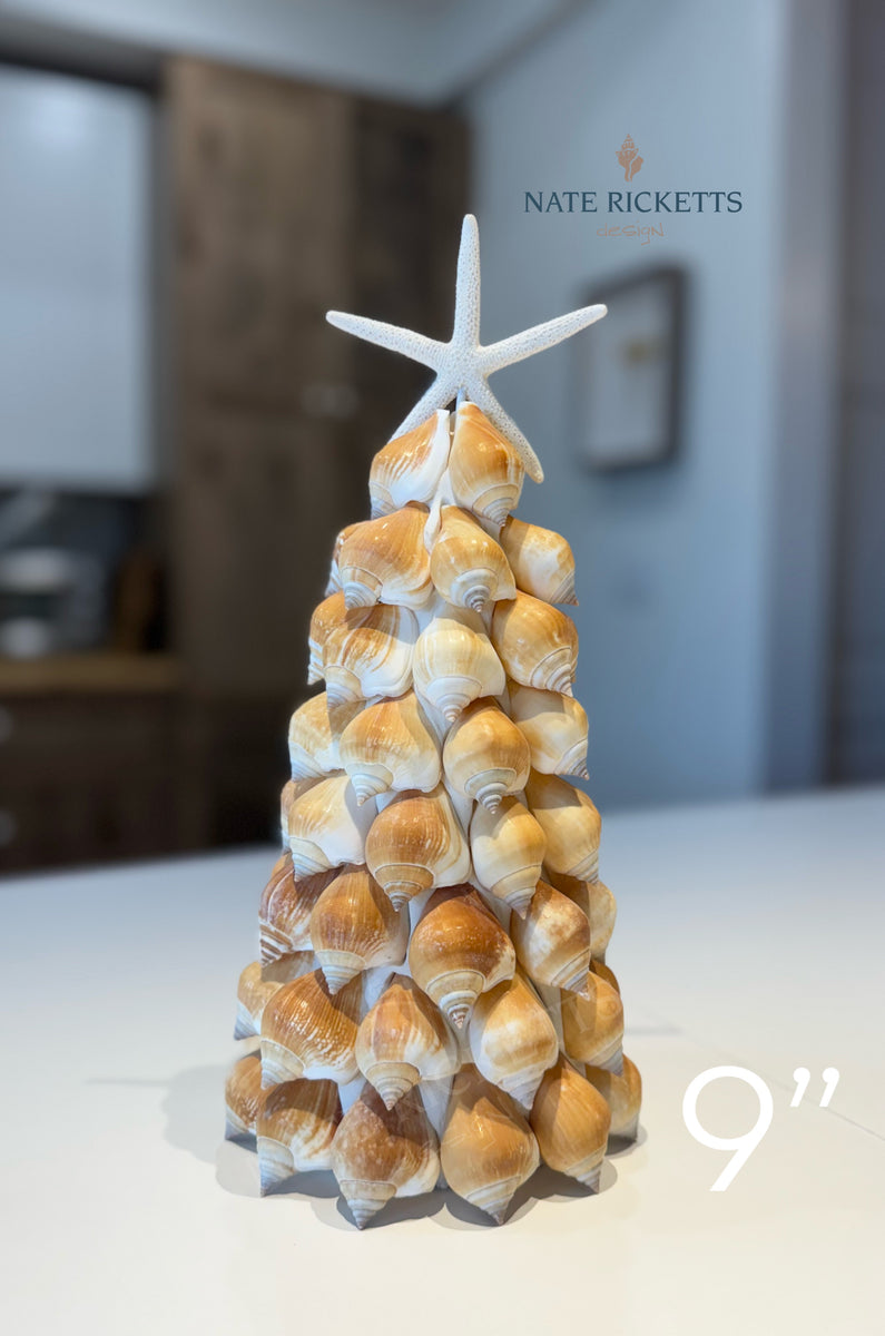 Sandy Dove Shell Tree with Seastar – Nate Ricketts Design
