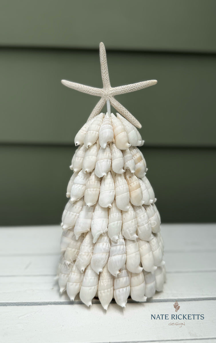 Auger Shell Tree with Seastar – Nate Ricketts Design