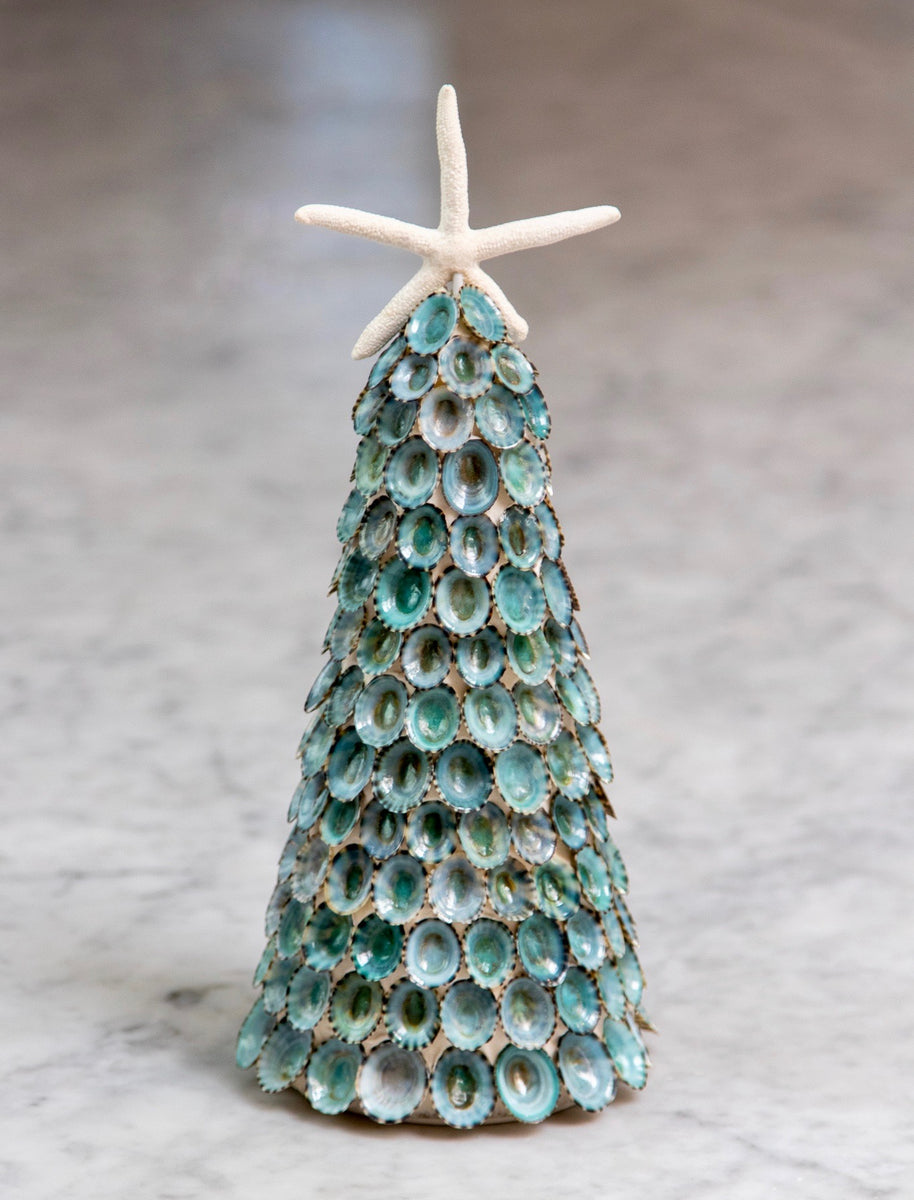 Blue Limpet Shell Tree – Nate Ricketts Design