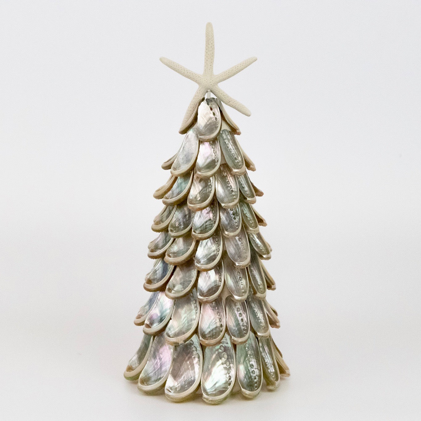 Silver Abalone Tree with Seastar – Nate Ricketts Design