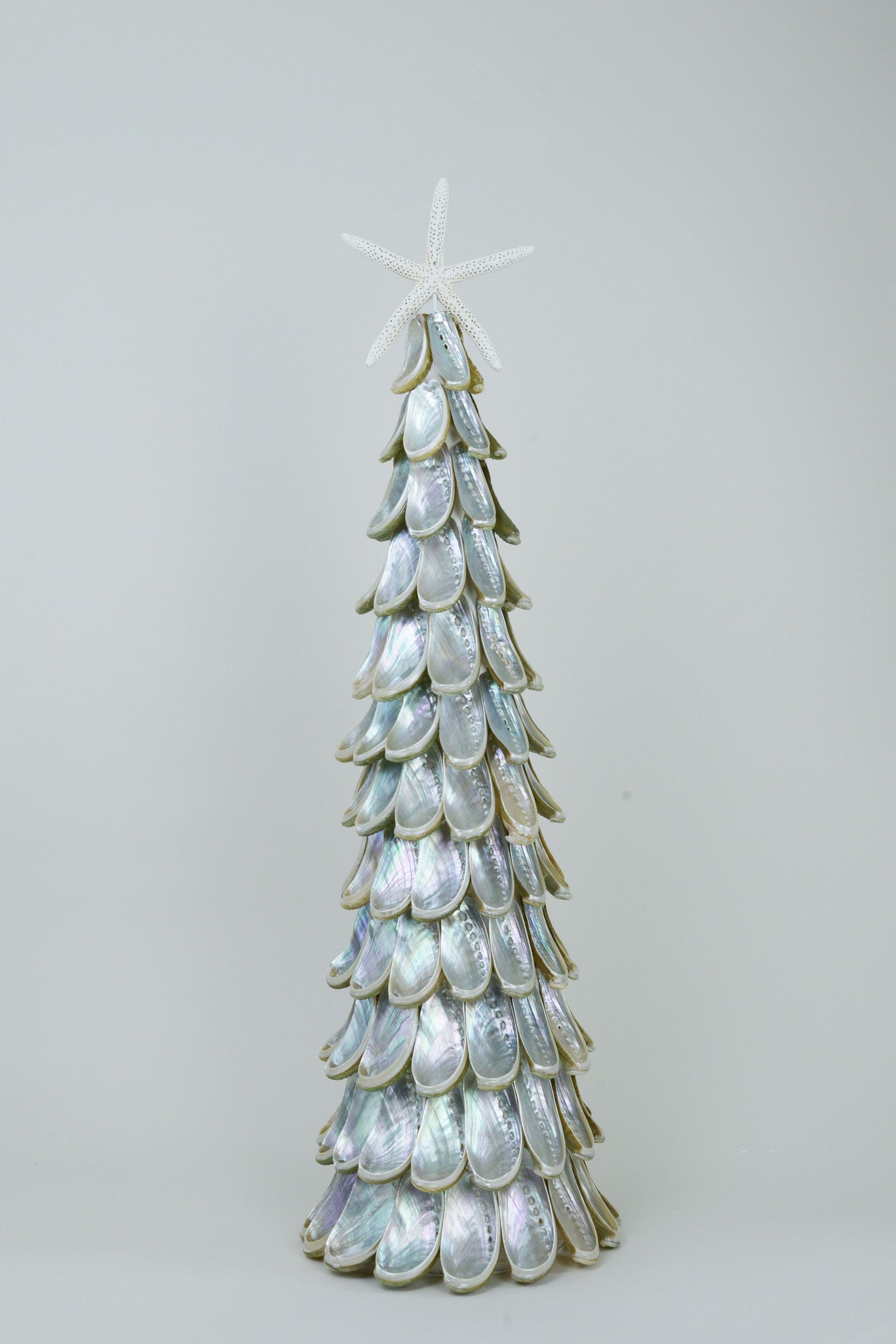 Silver Abalone Tree with Seastar – Nate Ricketts Design