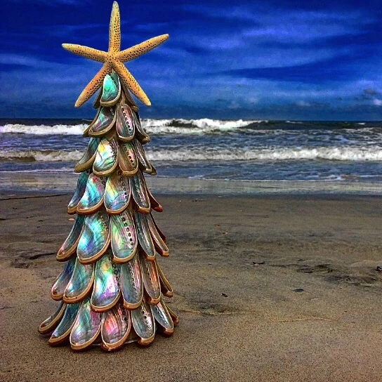 Silver Abalone Tree with Seastar – Nate Ricketts Design